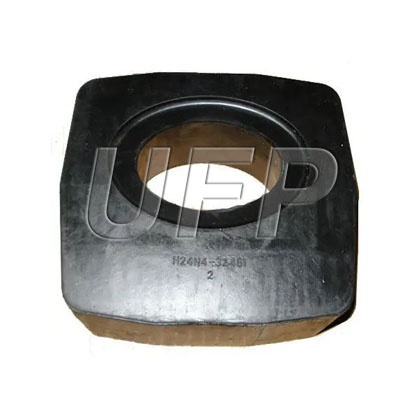 H24N4-32451 & R960-220001-000 Forklift Steer Axle Bushing